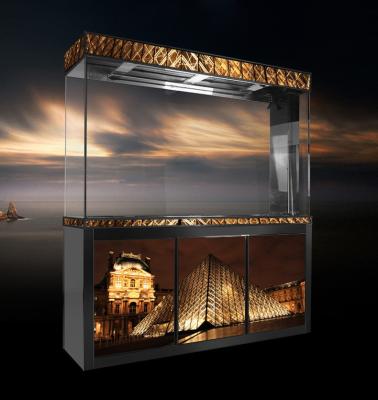 China the Louvre Museum setting, aquarium, can do the custom made for sale