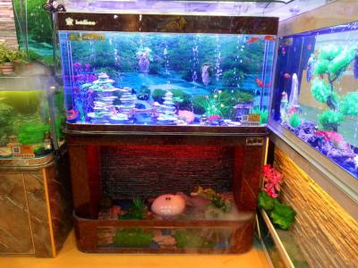 China water trickling series aquarium, fish tank, custom made according to your sizes, factory price, factory lead time, for sale