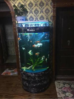 China semi-circle aquarium, fish tank, custom made according to your sizes, factory price and excellent service for sale