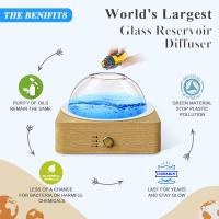 China Solid Wood Glass Aroma Diffuser▕ DN-839 for sale