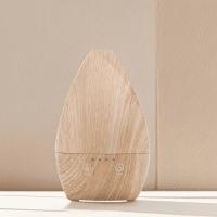 China 200ml Spray Mist Air Humidifier Portable Diffuser Humidifier for sale