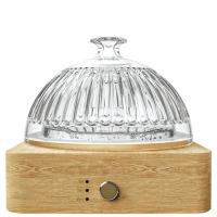 China Solid Wood Glass Aroma Diffuser▕ DN-839 for sale