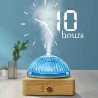 China Solid Wood Glass Aroma Diffuser▕ DN-839 for sale