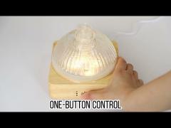 Solid Wood Glass Aroma Diffuser▕ DN-839