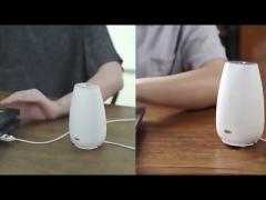Usb Household Double Switch Air Purifying  Aroma Diffuser