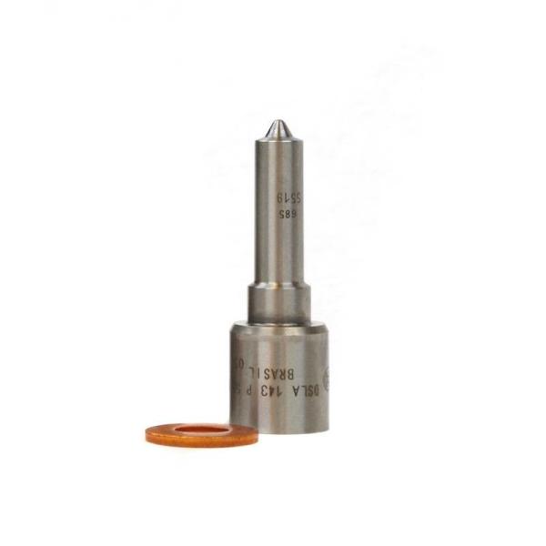  DLLA156P1368 Fuel Injector Nozzle 0433171848 For Hyundai Standard Size