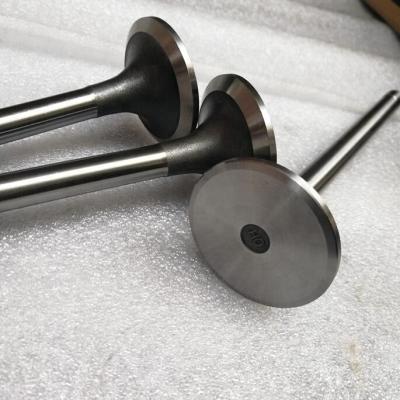 Cina Valvola di scarico dell'assunzione & delle parti di automobile RD28 per Nissan 13201-40L01 13202-40L01 in vendita