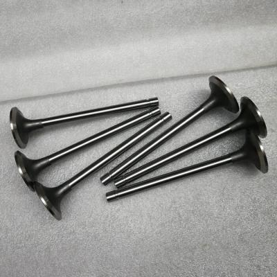 Cina Valvola di scarico dell'assunzione & delle parti di automobile RD28 per Nissan 13201-40L01 13202-40L01 in vendita