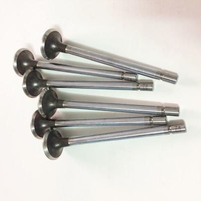 China Diesel Valve Train Engine Intake Valve And Exhaust Valve E13 E15 for sale
