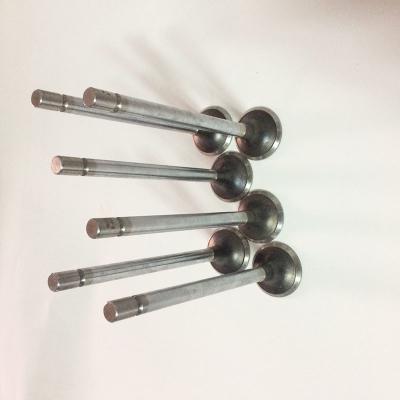 China Diesel Valve Train Engine Intake Valve And Exhaust Valve E13 E15 for sale