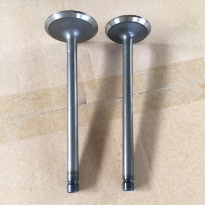Cina Valvola di scarico dell'assunzione della valvola del motore B13 GA16 dell'automobile per Nissan 13201-53Y00 13202-53Y00 in vendita