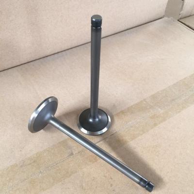 Cina Valvola di scarico dell'assunzione della valvola del motore B13 GA16 dell'automobile per Nissan 13201-53Y00 13202-53Y00 in vendita