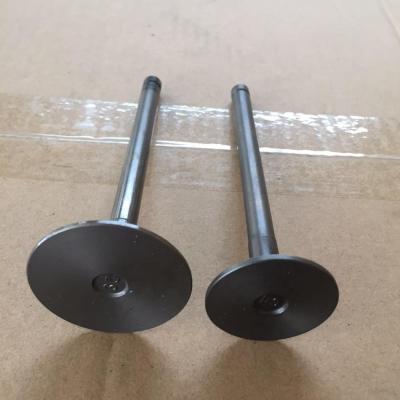Cina Valvola di scarico dell'assunzione della valvola del motore B13 GA16 dell'automobile per Nissan 13201-53Y00 13202-53Y00 in vendita