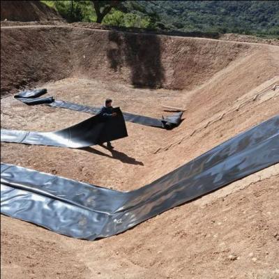 China Anti Seepage HDPE Geo Membrane High Density Polyethylene Film For Artificial Lake Fish Pond for sale