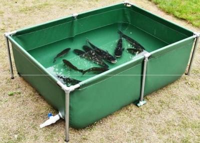 China Easy To Operate Galvanized Pipe Fish Pond For Economic Eco Friendly Fish Farming for sale