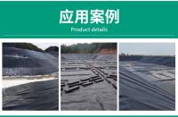China HDPE Geomembrane Liner 0.5mm to 3.0mm Thickness Customizable Length 50m to 100m Rolls for sale