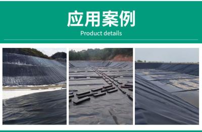 China Digestate Outlet Usage Guidelines Designed to Enhance Eco-friendly Disposal and Reduce Environmental Impact in Biogas Plants for sale