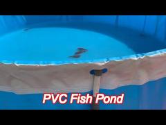 Piscine in PVC multifunzionale adattamento flessibile per l'acquacoltura di piccole e medie dimensioni