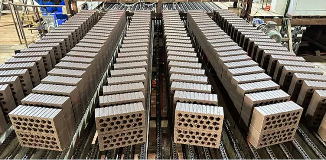 Chain-Board Rapid Dryer for Clay Bricks Drying Precision Control