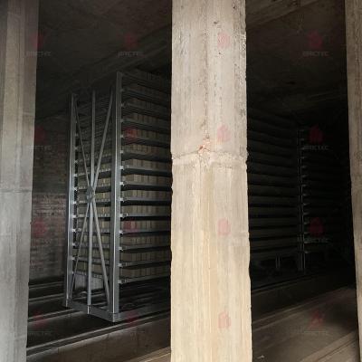 China BRICTEC Industriële droogmachines Droogkamer Constructieproces tentoonstelling II Te koop