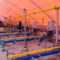 China Automatic Working WG Project Clay Brick Making Production Line Block Making Process for Custom Building for sale