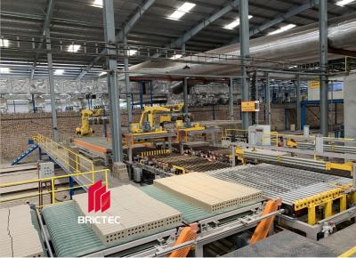 China Customized Clay Brick Production Line Design and Research General Contracting with Multi-Bucket Excavator for sale