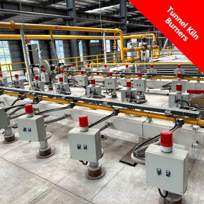China Eco-Friendly Natural Gas Burner – Clean , Efficient & Sustainable Combustion for sale