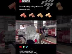 Brictec modderstrook snijmachine voor decoratieve bakstenen in productielijn