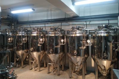 China Pilot Brewery System for sale