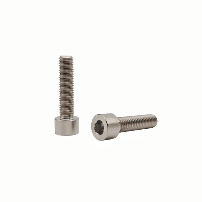 Titanium Screws