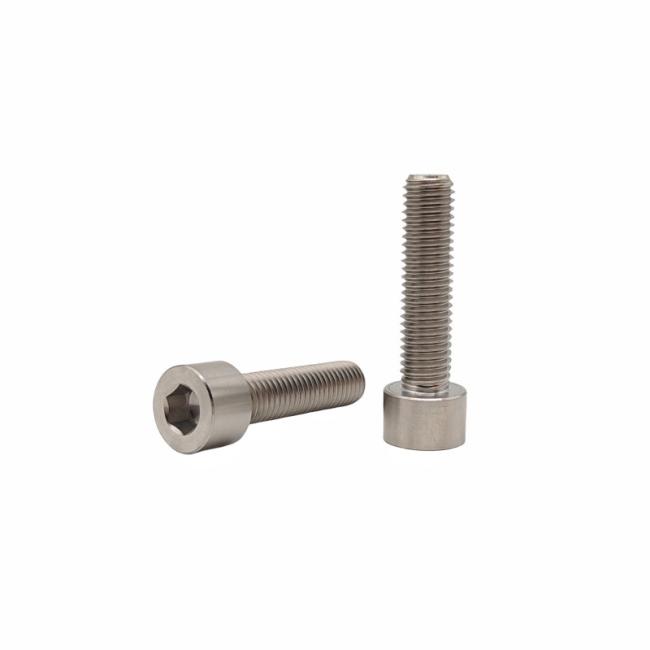 Titanium Screws