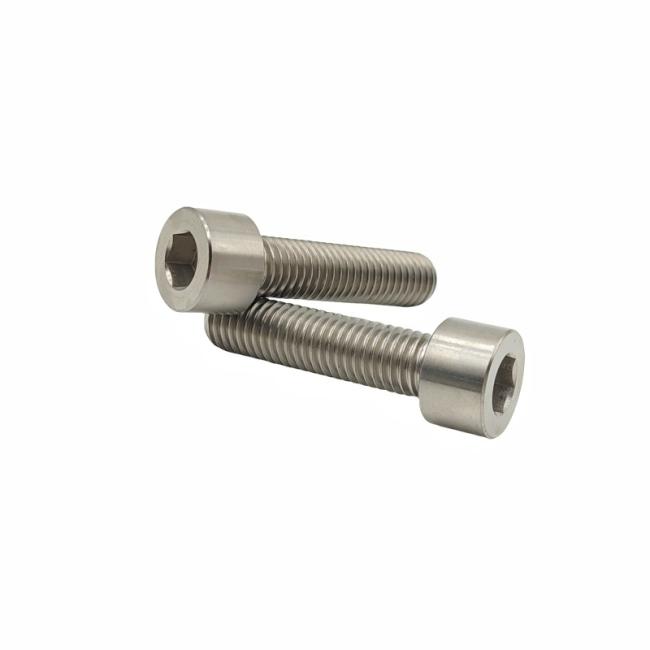 Titanium Screws