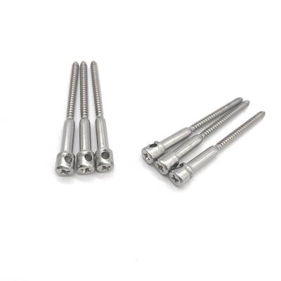 China Sealing Bolts For Watthour Meters Galvanized Hole Screws For Anti-Tampering Of Electric Meters - Solid Metal Construction for sale