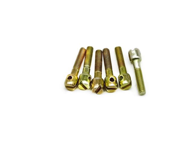 Electric Meter Screws