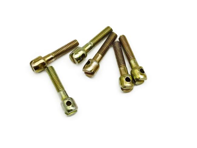 Electric Meter Screws