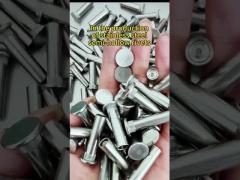 Pan Head Aluminum Semi Tubular-Klinknagelssus304 Materiële GB Norm