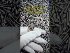 Vetture di sigillo per contatori di alta qualità Soluzioni di sicurezza a prova di manomissione per contatori di utilità Vetture di sigillo a piombo M4*30