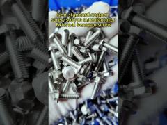 Torx Flange Head Bolt Dacromet EVERLUBE Parafusos de máquina para tanques de água BMW