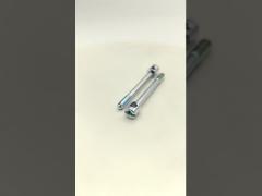 Veiligheidsschroeven voor loodzegels/ Tamperproof & Evident/ Nutsmeters & kleppen/ Zinkgeplatte