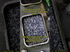 Industrial Torx Eccentric Screws Grade 10.9 Alloy Steel ±2mm Offset Machinery Alignment Dacromet Coated