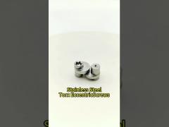 Parfusos excéntricos Torx (Flecken, que se move no ar)