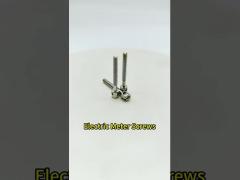304 Stainless Steel Electric Meter Screws M4 M5 Tamper Proof