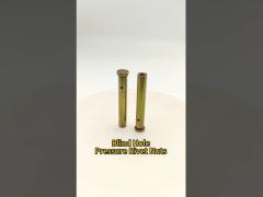 Stainless Steel Blind Hole Rivet Nut Column M6-M12 Yellow Zinc Plated