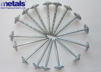 Cina Ring Shank Hot Galvanized Roofing Nails 2.5 