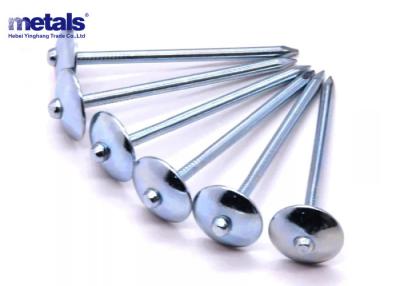 China Nails de telhado corrugado Hardware Construção Construção guarda-chuva Nails de telhado galvanizado Long Nails à venda
