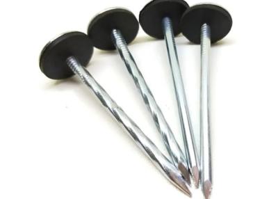 China BWG9 X2.5 Inch Electro Galvanizado unhas cabeça guarda-chuva torcida de carcaça 8 caixas de embalagem à venda
