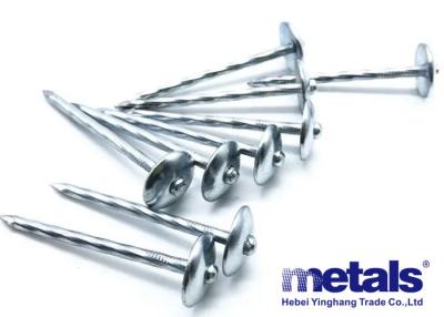 China BWG9 X2.5 Inch Electro Galvanizado unhas cabeça guarda-chuva torcida de carcaça 8 caixas de embalagem à venda