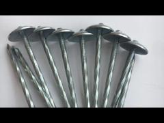 Twisted Shank Umbrella Galvanized Roof Nails with cap BWG9X2.5 clavo para techo de zinc ring shank r
