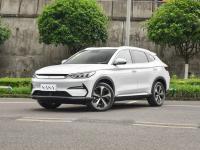 China BEV Type Smart Electric Car for sale