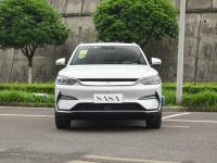 China BEV Type Smart Electric Car for sale